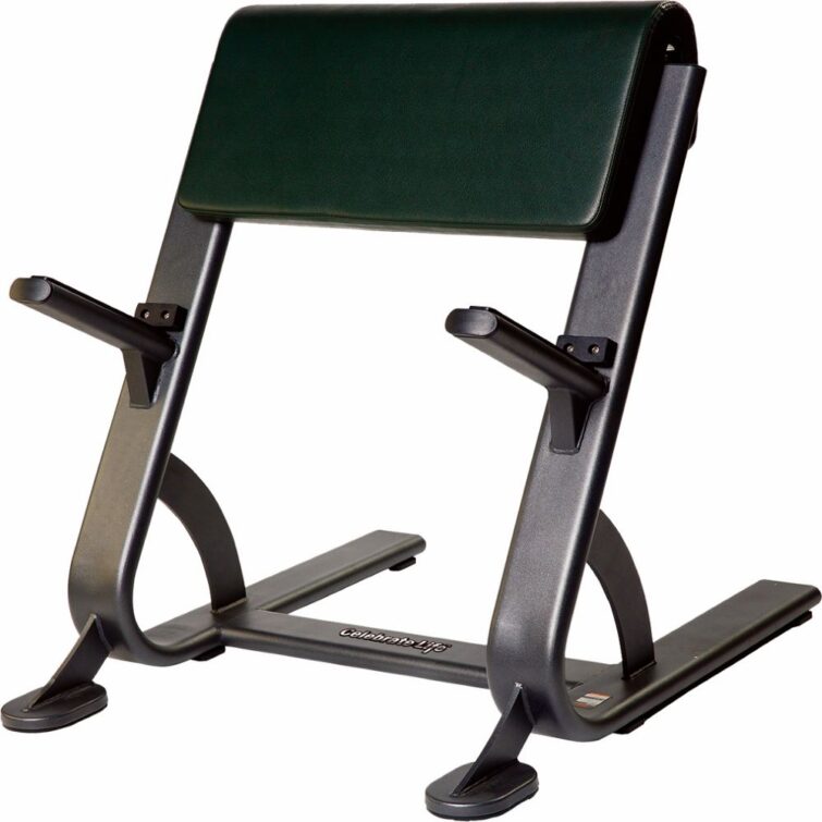 Kombat Series Arm Curl Bench – Celebrate Life